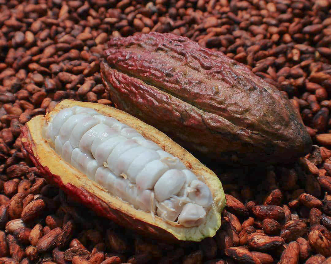 Magno Artisan Chocolates - Our Single-Origin Colombian Chocolate